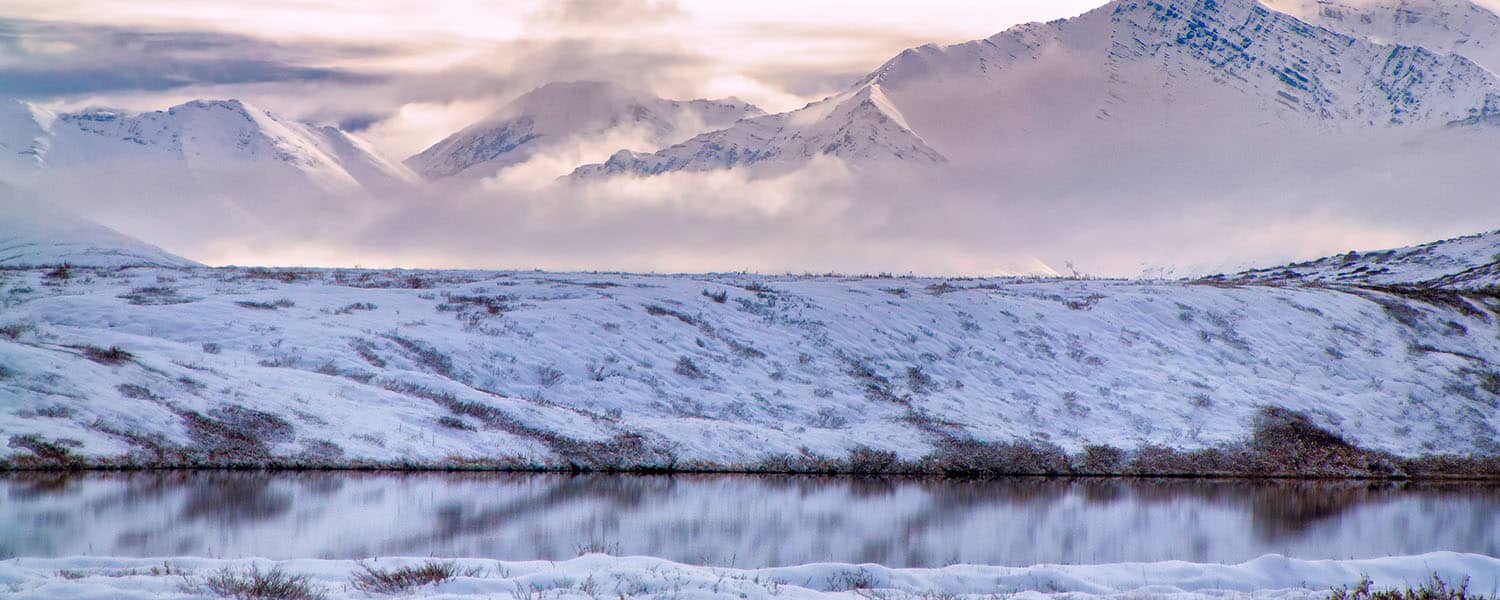 Arctic - Alaska Business Magazine