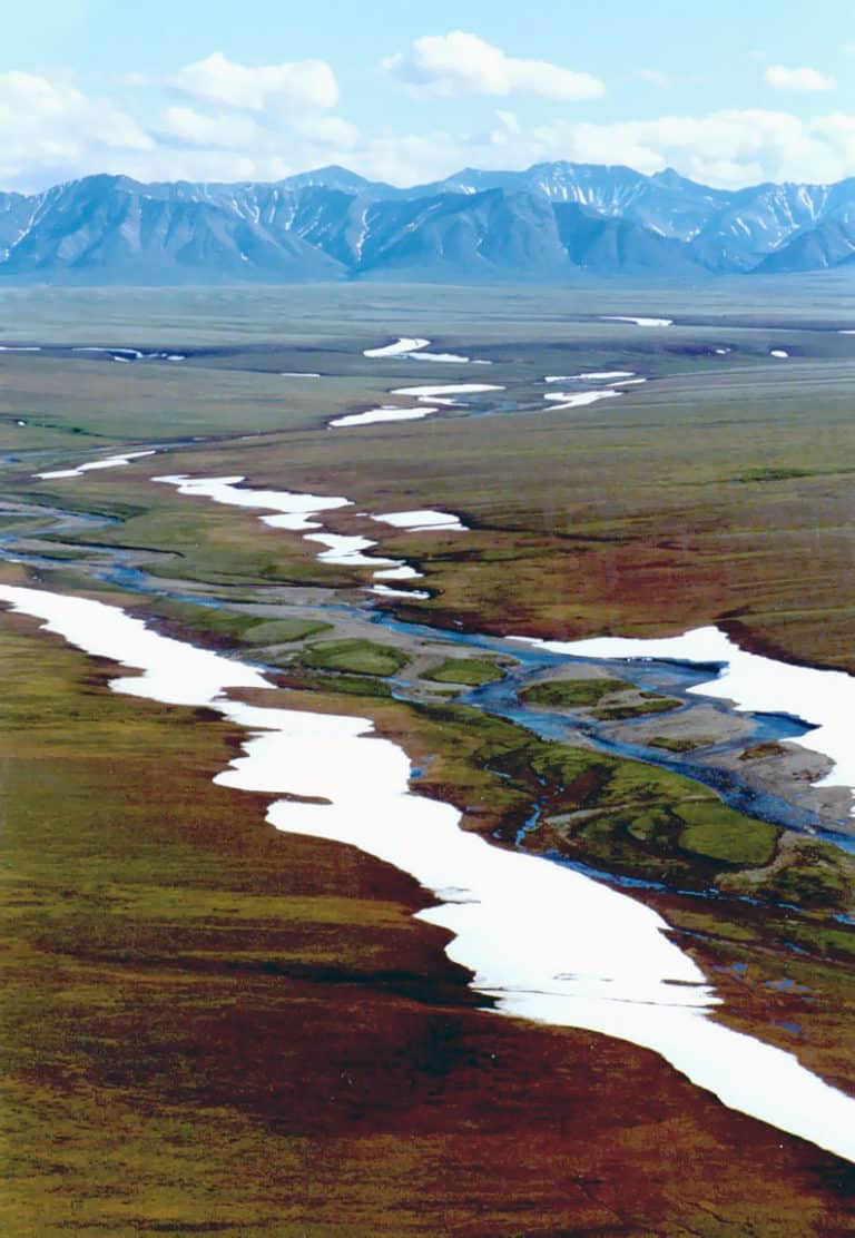 Alliance Encourages Community to Support ANWR Activity - Alaska ...