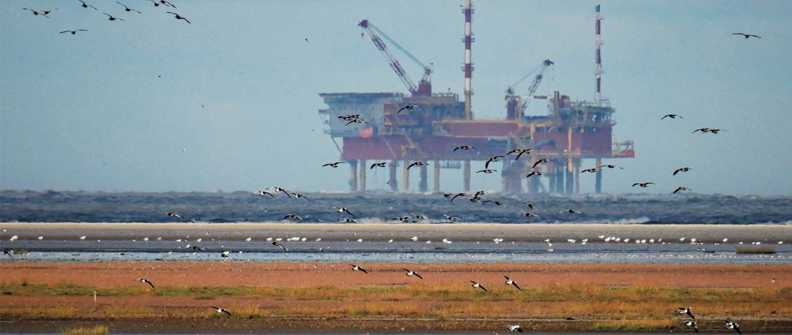 International Interest in the North Slope - Alaska Business Magazine