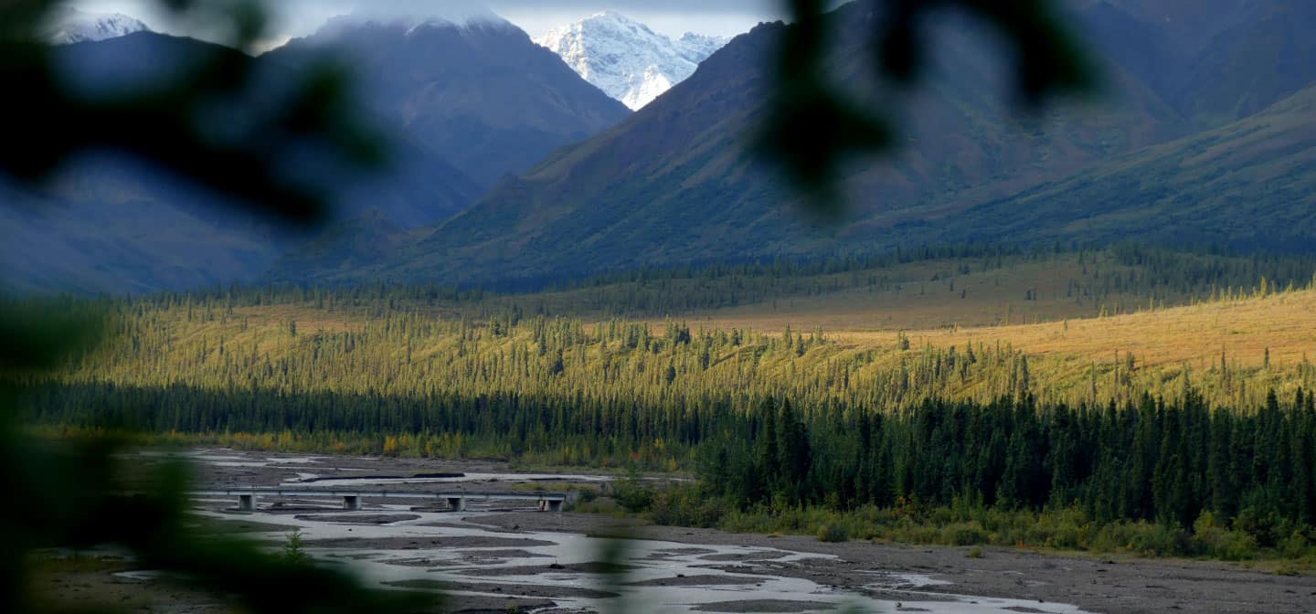 Doyon, Limited - Alaska Business Magazine