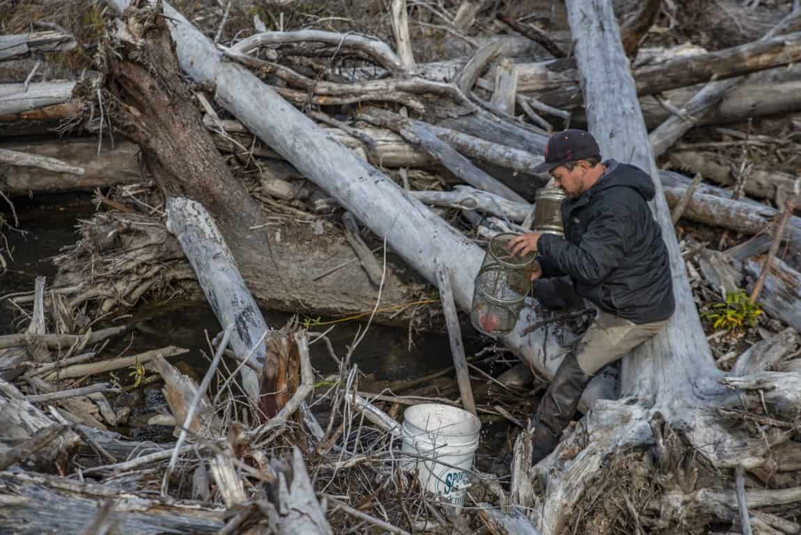 TCC and UAF Researchers Evaluate Wildfire Impacts Using Unmanned ... TCC and UAF Researchers Evaluate Wildfire Impacts Using Unmanned ...