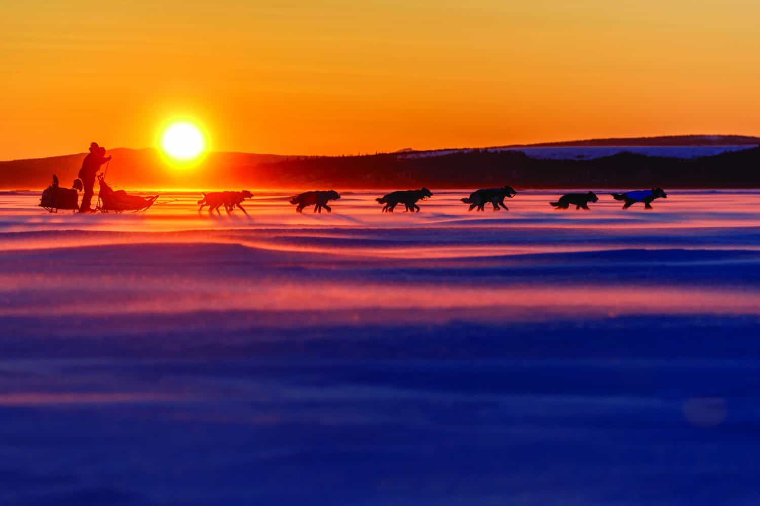 Reinventing the Last Great Race—The Iditarod Continues to Break New ...