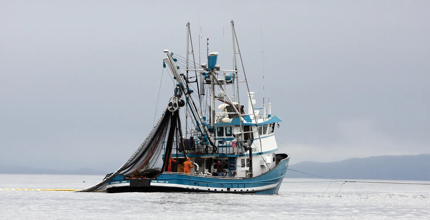 Solutions to the Bycatch Blame Game - Alaska Business Magazine