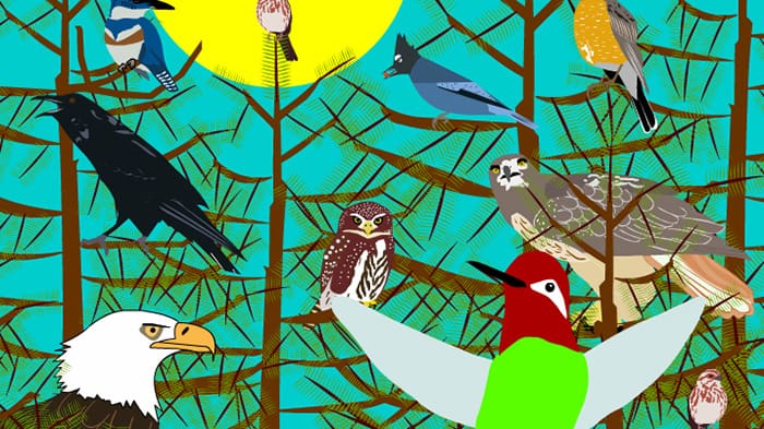 Sealaska Heritage Institute Launches Language Apps - Alaska Business ...